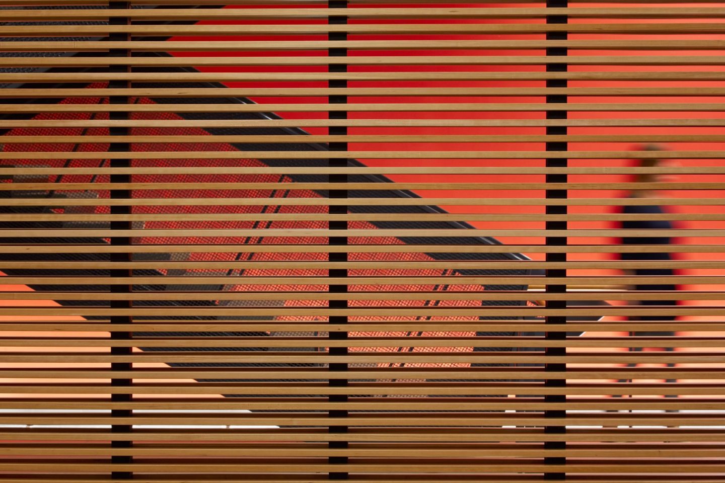 Hoffman Construction — Hoffman Builds: Behavioral Health